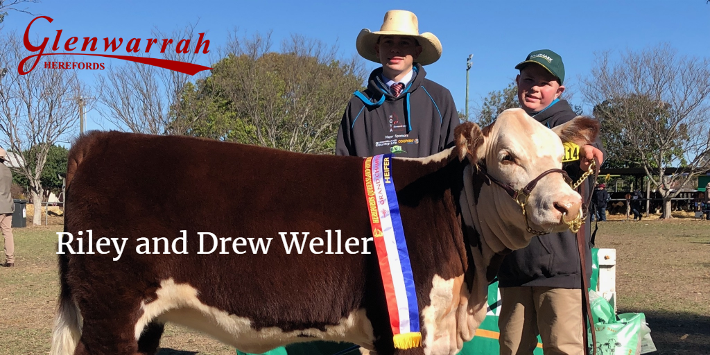Riley and Drew Weller, Glenwarrah Lass N114 - Glenwarrah Herefords ...